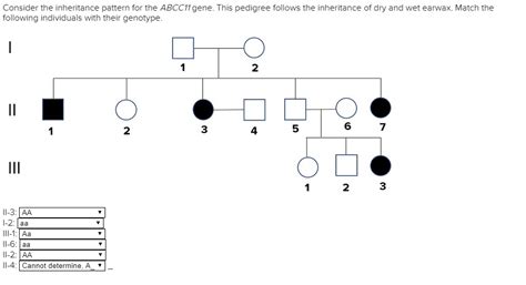 Solved Consider The Inheritance Pattern For The Abcc Gene Chegg