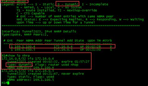 Dmvpn Notes Phase 2 Dynamic Mappings