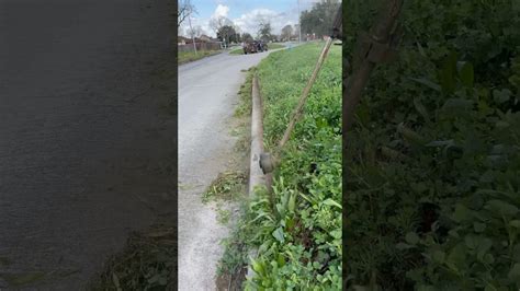 Satisfying Edging Youtube