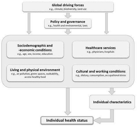 Conceptual Paradigm