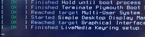 Garuda Linux Live USB Stuck On OK Finished LiveMedia Keyring Setup