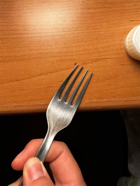 What Is This Tiny Smooth Shelled Bug Found In A Bedroom In Barcelona R Whatisthisbug