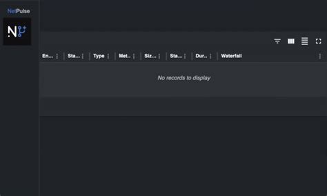 introducing netpulse a next js observability developer tool by