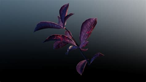 3d Model Purple Tree Leaves Branch For Particle Generation Vr Ar