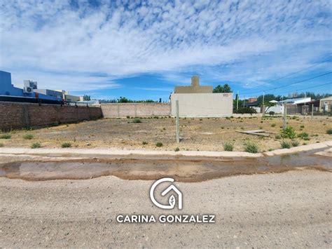 Carina Gonzalez Servicios Inmobiliarios Terreno En Venta En Centenario Omar Barrero Y S