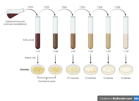Spread Plate Technique Principle Procedure Results Microbe Online