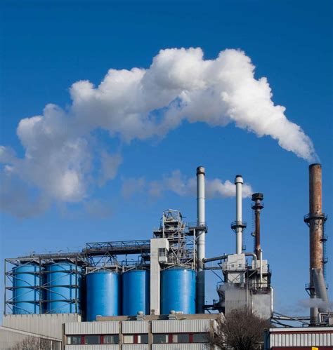 Dioxins And Pcbs White Lab