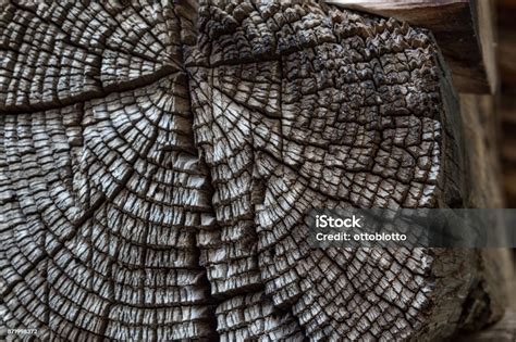 오래 된 나무 목재의 무 겁 게 확인 하 고 분할 끝 곡물 세부 사항 0명에 대한 스톡 사진 및 기타 이미지 0명 갈색