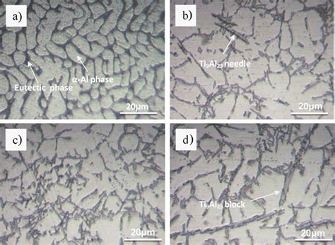 Optical Micrograph Showing The Solidification Microstructure Of A Download Scientific Diagram