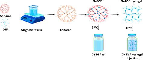 Chitosan Based Hydrogels Springerlink 50 Off