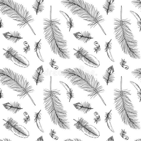Feather Vector Seamless Pattern Outline Illustration Of Quills