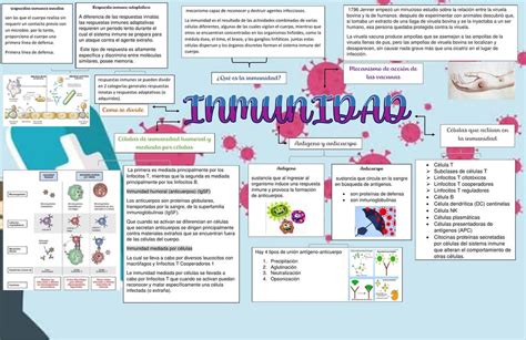 Mapa Del Sistema Inmunologico