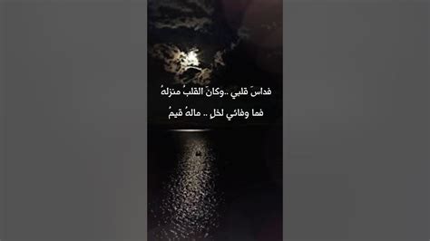 بيتٌ من الشعرِ اذهلني بروعتهِ للشاعر كريم العراقي Youtube