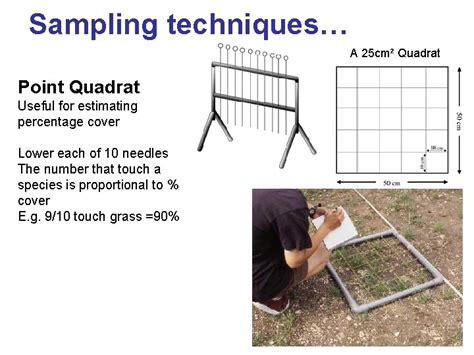 Sampling Techniques And Presenting Data The Sequel Sampling