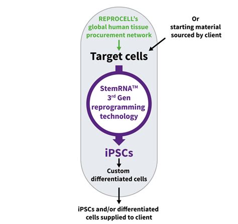 Which Stem Cell Reprogramming Technology Should I Use