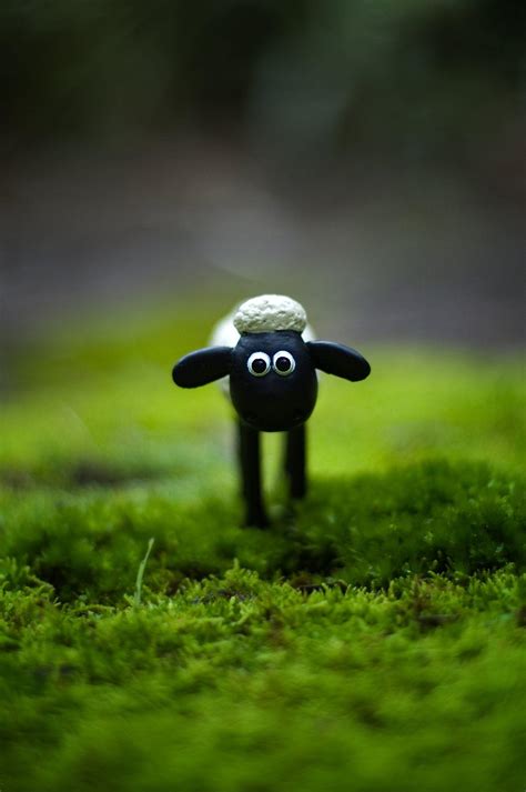 Shaun The Sheep Wallpapers Top Free Shaun The Sheep Backgrounds