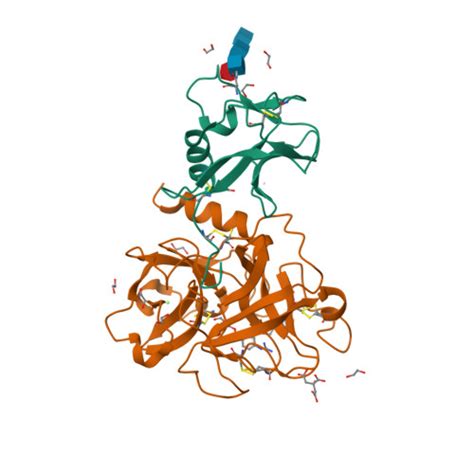 Rcsb Pdb 8v04 High Resolution Tmprss2 Structure Following Acylation