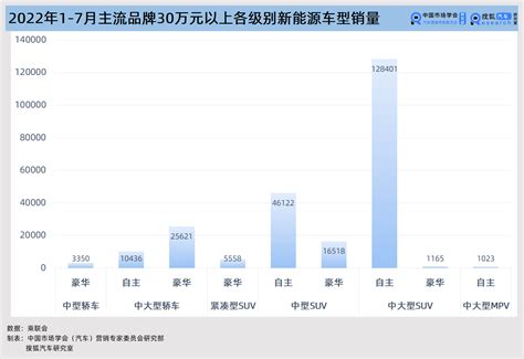 自主新能源掀向上浪潮：甩开了bba 却追不上特斯拉