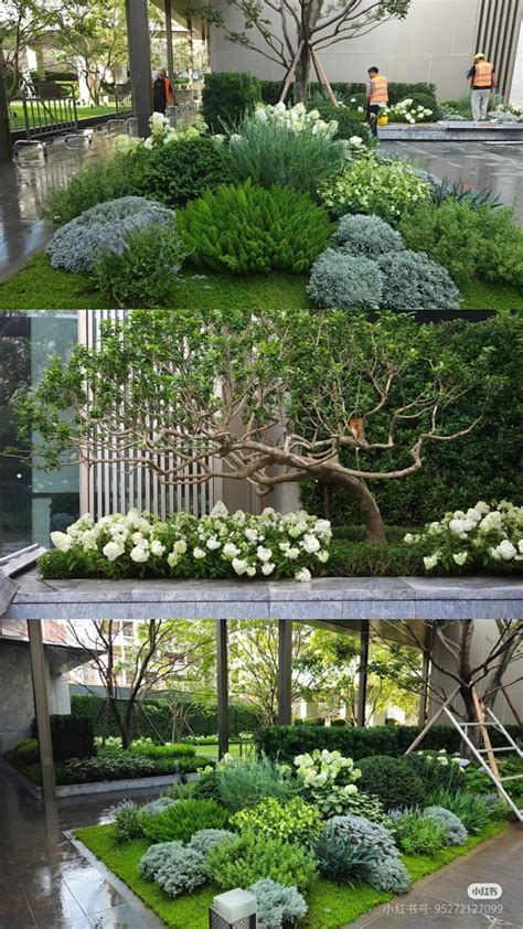 Cameraxhs17322785512631040g2sg31ag3mvfvmudg5pgcsntipktc1ulkp8o 花瓣网