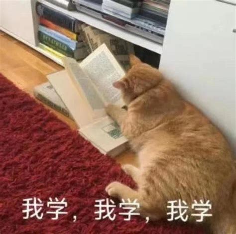 表情包丨在学了在学了 知乎