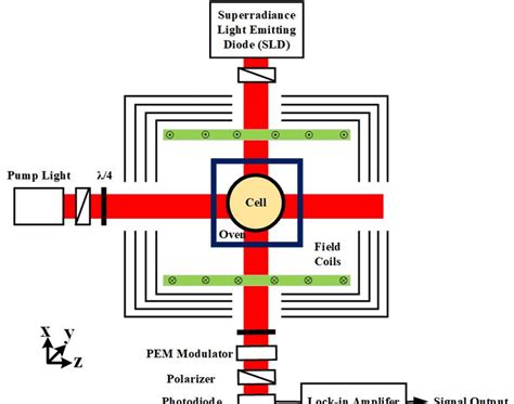 Photodiode Signal Output Lock In Am Plifer Download Scientific Diagram