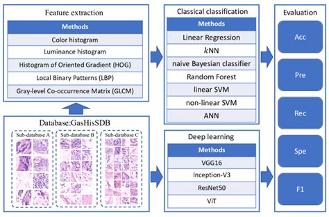 Flow Chart Of The Complementarity Comparison Experiment Download Scientific Diagram
