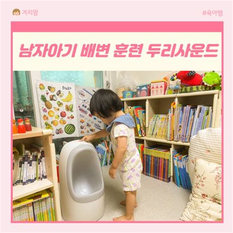 남자아기 배변 훈련 두리 사운드 남아 소변기로 기저귀 떼는 중 네이버 블로그