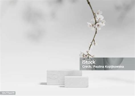 3d 배경 흰색 연단 큐브 디스플레이 벚꽃 나무 나뭇 가지 화장품 또는 미용 제품 프로모션 스텝 스톤 플로럴 받침대 추상 적 최소한의 광고 3d 렌더 복사 공간 템플릿