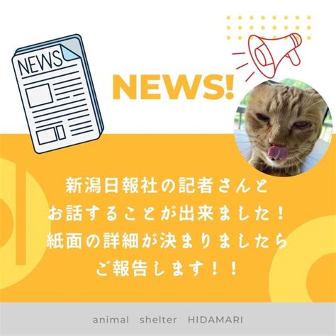 取材に来ていただきました😆👐 │ 一般社団法人あにまるシェルターひだまり