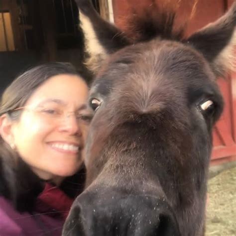 A Mule Named Squirrel Squirrelmcmule12 • Threads Say More