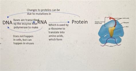 solved could you make concept map using these words for my