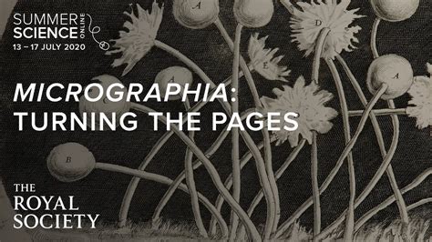 Micrographia Turning The Pages Of Robert Hookes Masterpiece The