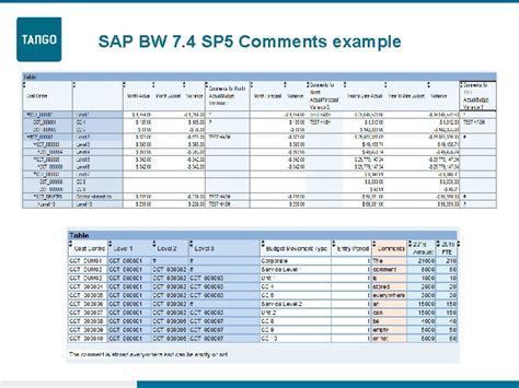Planning In Sap Using Epm New Zealand Sap