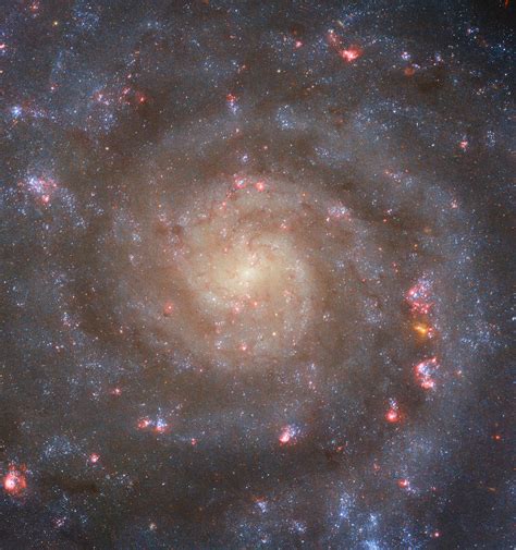 El Telescopio Espacial Webb Revela Una Estructura “alucinante” En 19