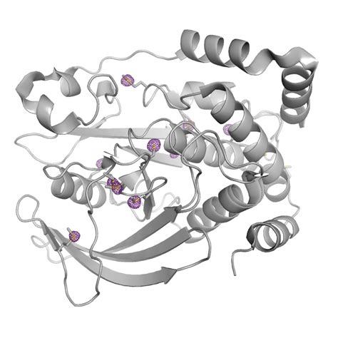 High Redundancy Data Collection Enables Room Temperature Native Sad Download Scientific