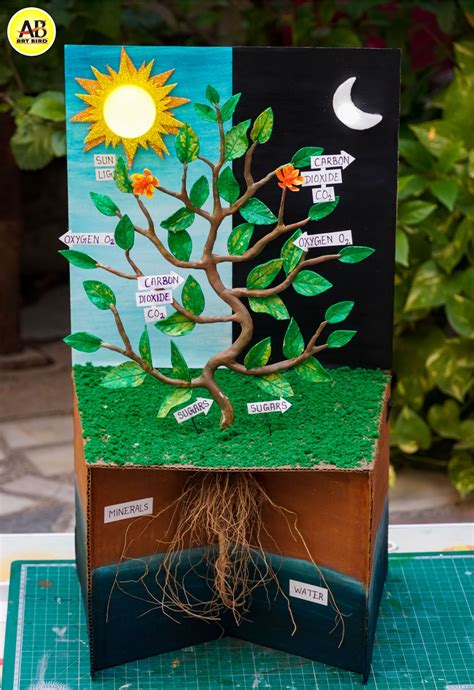 Science Exhibition Working Models