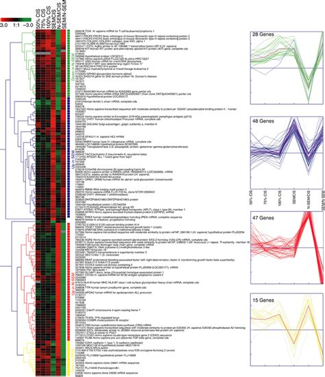 hierarchical and k means clustering of genes expressed specifically in