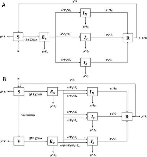 An Extended Seir Model Of Hand Foot And Mouth Diseases Including 6 Or