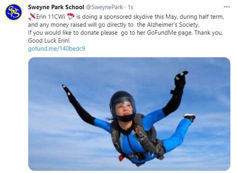 Homepage Sweyne Park School
