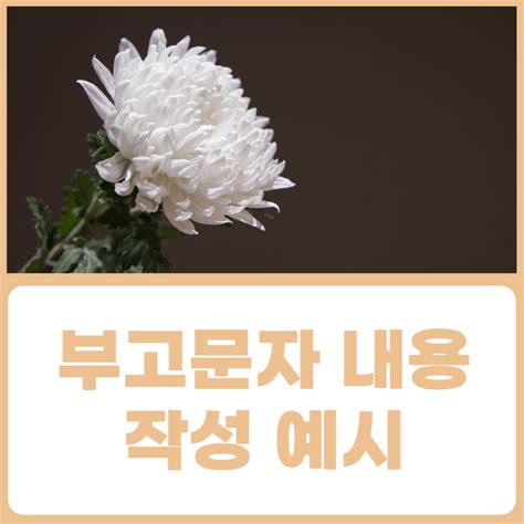 부고문자 안내글 메시지 본인 부모 자녀