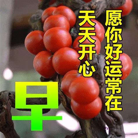 3月最后一天，最漂亮早上好动态表情图片大全，早晨好动图美图大全人生朋友问候