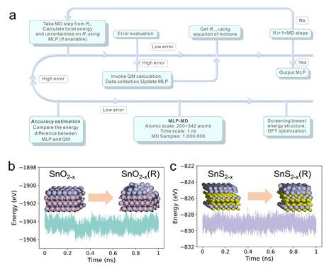 Machine Learning Potential Driven Insights Into Ph Dependent Co₂