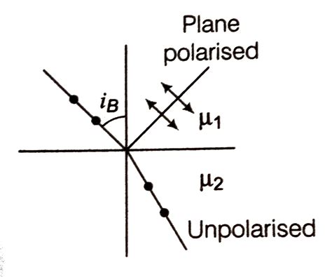 What Is Plane Of Polarised Light At Isabel Spiegel Blog