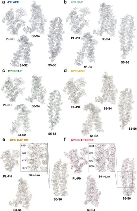 Representative Cryo Em Density Of The Trpv1 Structures A F Cryo Em
