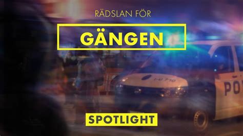 Arto Martikainen On Linkedin Jengien Pelko Spotlight