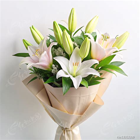 百合花图片下载红动中国