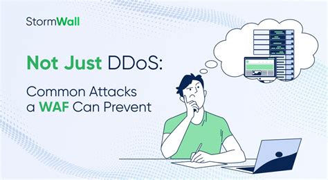 Not Just Ddos What Does Waf Protect Against Stormwall