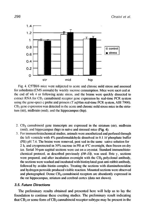 Hippocampus Dissection Big Chemical Encyclopedia