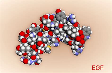 표피 성장 인자 Egf 단백질 분자 세포 성장과 분화를 자극한다 3d 렌더링 Pdb 2kv4 단백질에 대한 스톡 벡터 아트 및