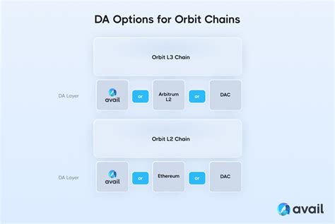 Avail Ecosystem Series Arbitrum Orbit Chains